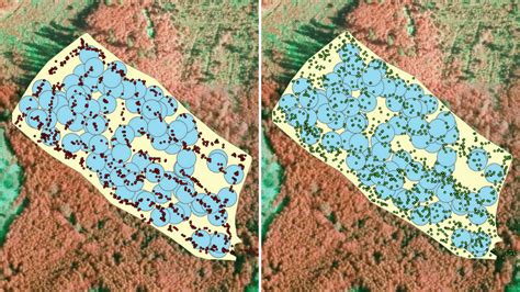 Remote Sensing Free Full Text Predicting Forest Inventory