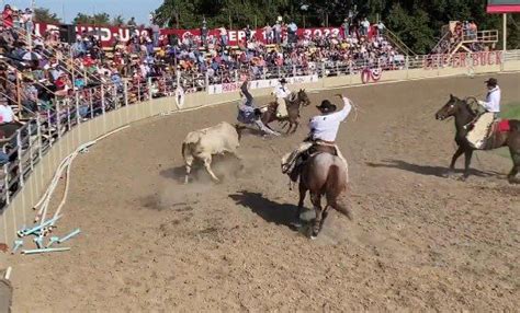 Runaway Bull Busts Though Fence And Launches Poor Soul Into The Air At