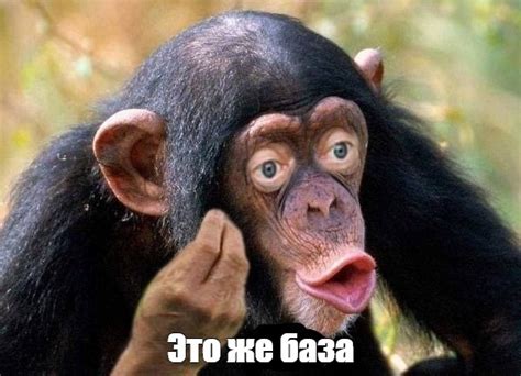 Мем Это же база Все шаблоны Meme