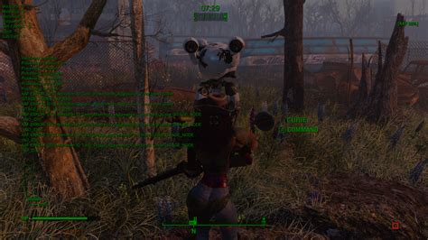 aaf not loading properly fallout 4 technical support loverslab