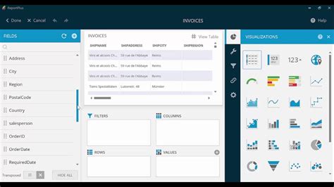 create a visualization with postgresql data with reportplus desktop