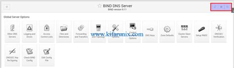 setup bind dns using webmin on debian 10