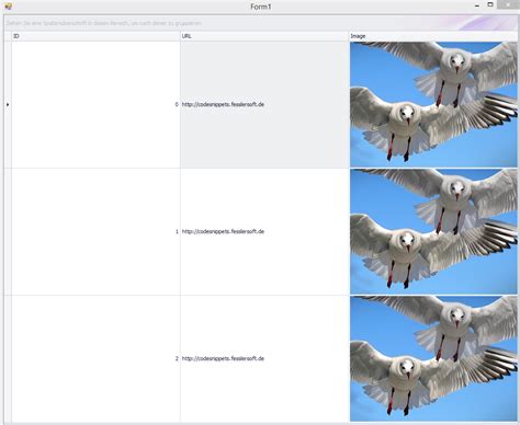 how to display an image in devexpress xtragrid control using c and vb