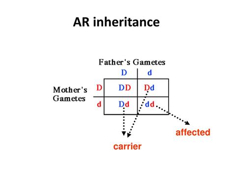 ppt patterns of inheritance powerpoint presentation free download