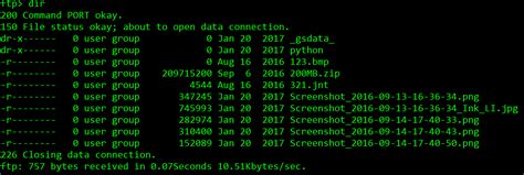 understanding ftp commands in the command line hosted~ftp~ help