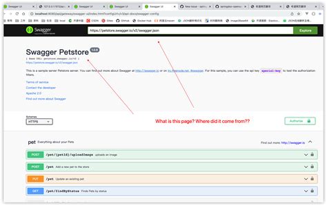 setting ‘swagger ui path and ‘swagger nfig url ‘will cause