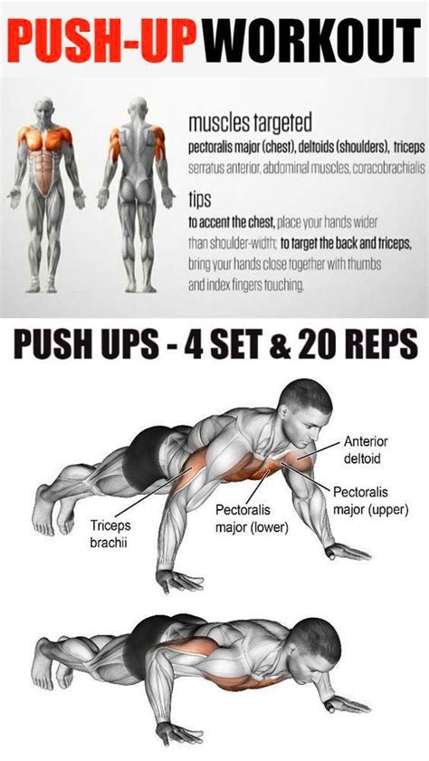 How To Get Bigger Arms With Push Ups Fitness And Power Push Up