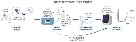 Comparative Analysis Of Rna Extraction Approaches And 53 Off