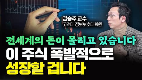 전세계의 돈이 몰리고 있습니다 이 주식 폭발적으로 성장할 겁니다｜김승주 교수 2부 Youtube