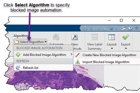label large images in image labeler matlab and simulink mathworks 한국