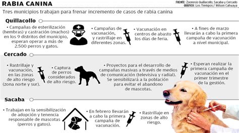 Reportan 3 Casos De Rabia Humana Y Municipios Trabajan En Prevención