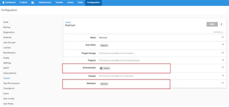 typeerror cannot read property name accessing tenant variables due