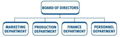 😎 functional and divisional structure comparison of functional and