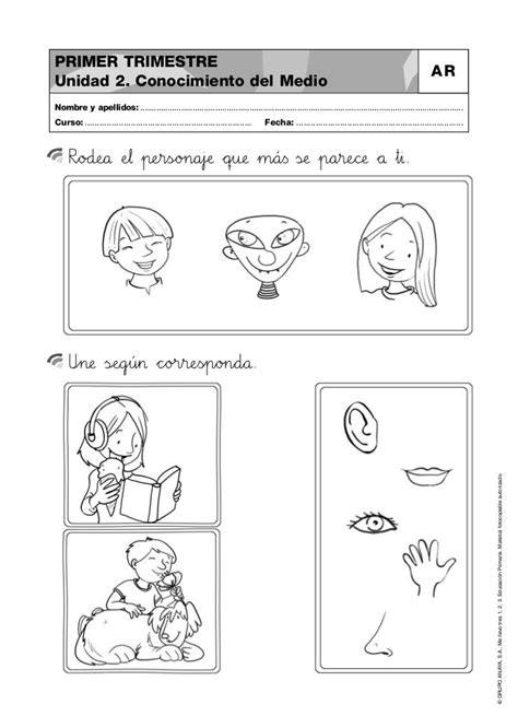 Ejercicios De Conocimiento Del Medio Para Segundo Primaria 480