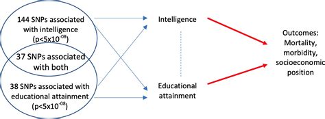 Multivariable Two Sample Mendelian Randomization Estimates Of The