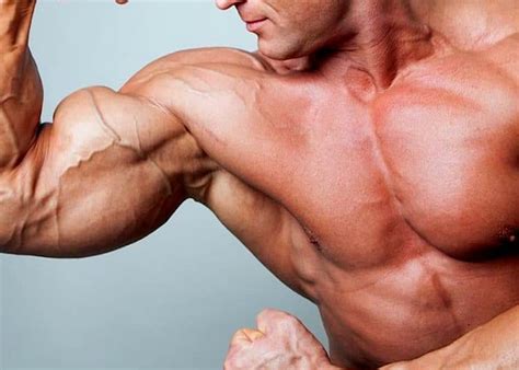 Barbell Reverse Curl Brachioradialis Brachialis Biceps Fitness Volt