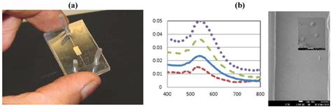 Polymers Free Full Text Microfluidics Nano Integration For