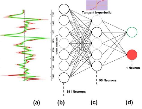 schematic of the multi layered perceptron the network takes a wmr