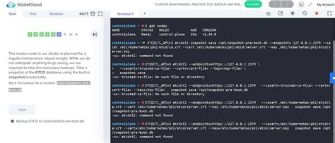 [lab issue etcd backup] kubernetes kodekloud devops learning