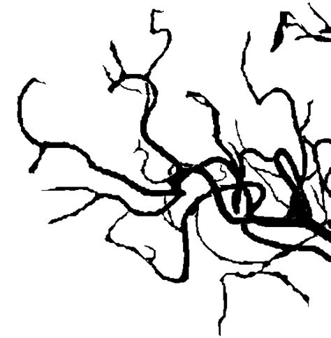 python smoothing edges of a binary image stack overflow