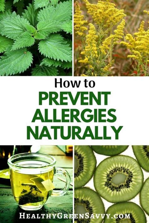 15 Natural Remedies For Allergies Healthygreensavvy