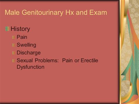 Genitourinary Exam