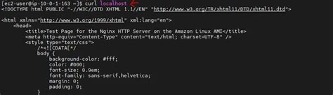 aws applications deployment basics setup nginx dzone cloud