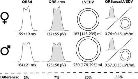 heart size corrected electrical dyssynchrony and its impact on sex