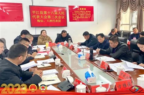 李勇、彭方建、凌晓明等县领导参加人大代表团分组讨论 平江县政府门户网
