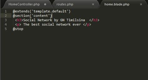 displaying error or alert message in laravel stack overflow