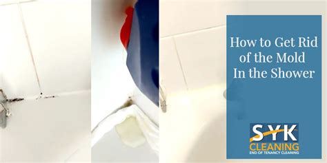 How To Get Rid Of The Mold In The Shower Syk Cleaning