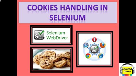 cookies handling in selenium webdriver why to login in each testcase