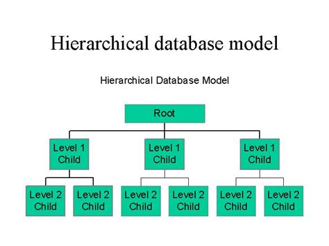 the different types of hierarchical databases