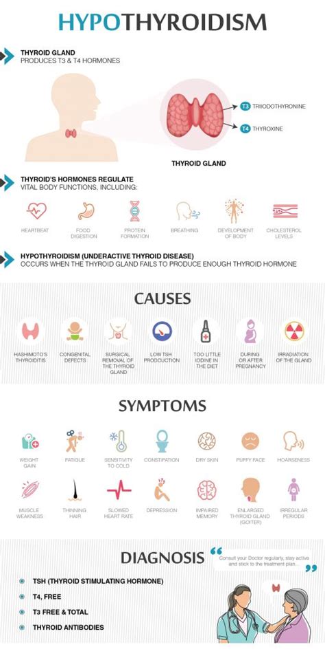 Hypothyroidism Symptoms And Treatment