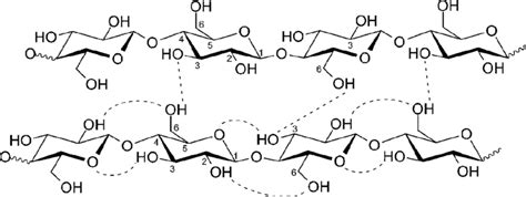 Intra And Intermolecular Hydrogen Bonding In Cellulose Reprinted With