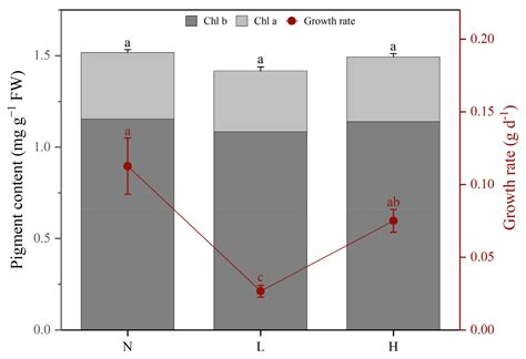 Ijms Free Full Text Transcriptomics Insights Into Phosphorus Stress