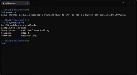 installing kali linux in windows 11 using wsl2