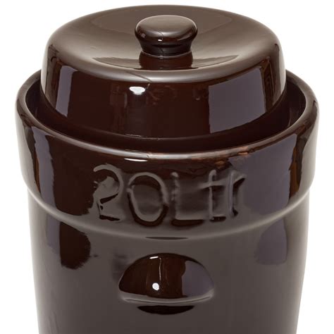 Fermenting Kit With 5 1 4 Gallon 20l Crock Roots And Harvest