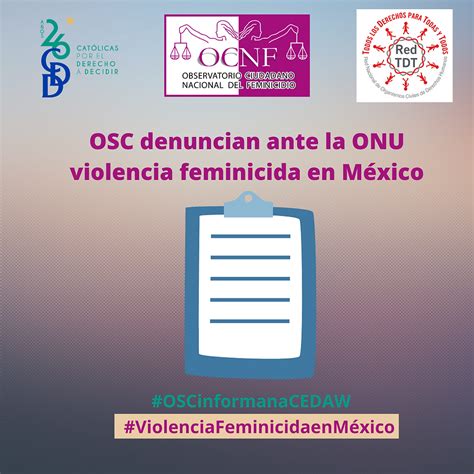 Comunicado Osc Denuncian Ante La Onu Violencia Feminicida En México