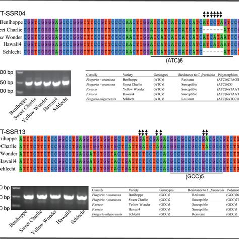 Expression Patterns Of De Est Ssrs After C Fructicola Inoculation A
