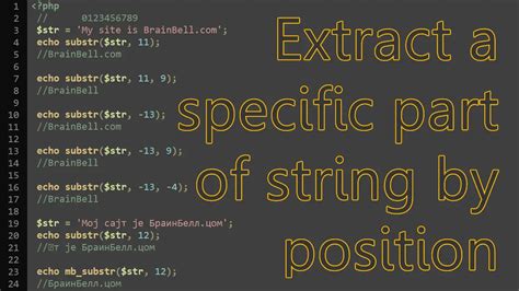 extract a specific portion of string by position in php brainbell