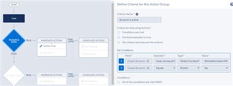 simple process builder failing with error failed to access the value