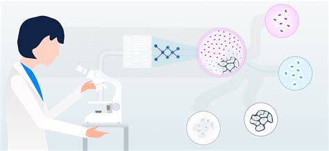 Github Gscdit Breast Cancer Detection Breast Cancer Detection Using