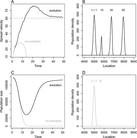 How Dispersal Evolution And Local Adaptation Affect The Range Dynamics