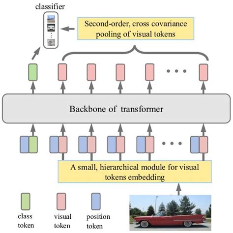 diagram of our second order vision transformer so vit we propose a
