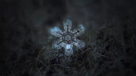 微距的雪花照片展示了难以置信的完美设计 听力课堂