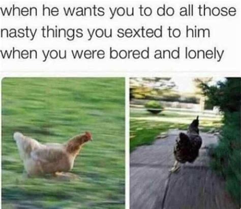 Sex Memes 33 Pics