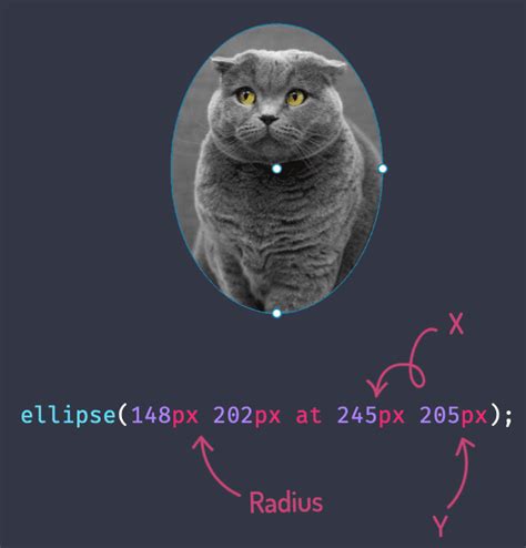 superhero layout combining css grid and css shapes