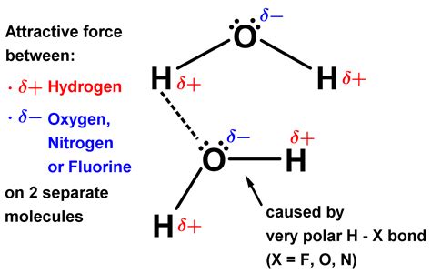 Hydrogen Bonding Forces